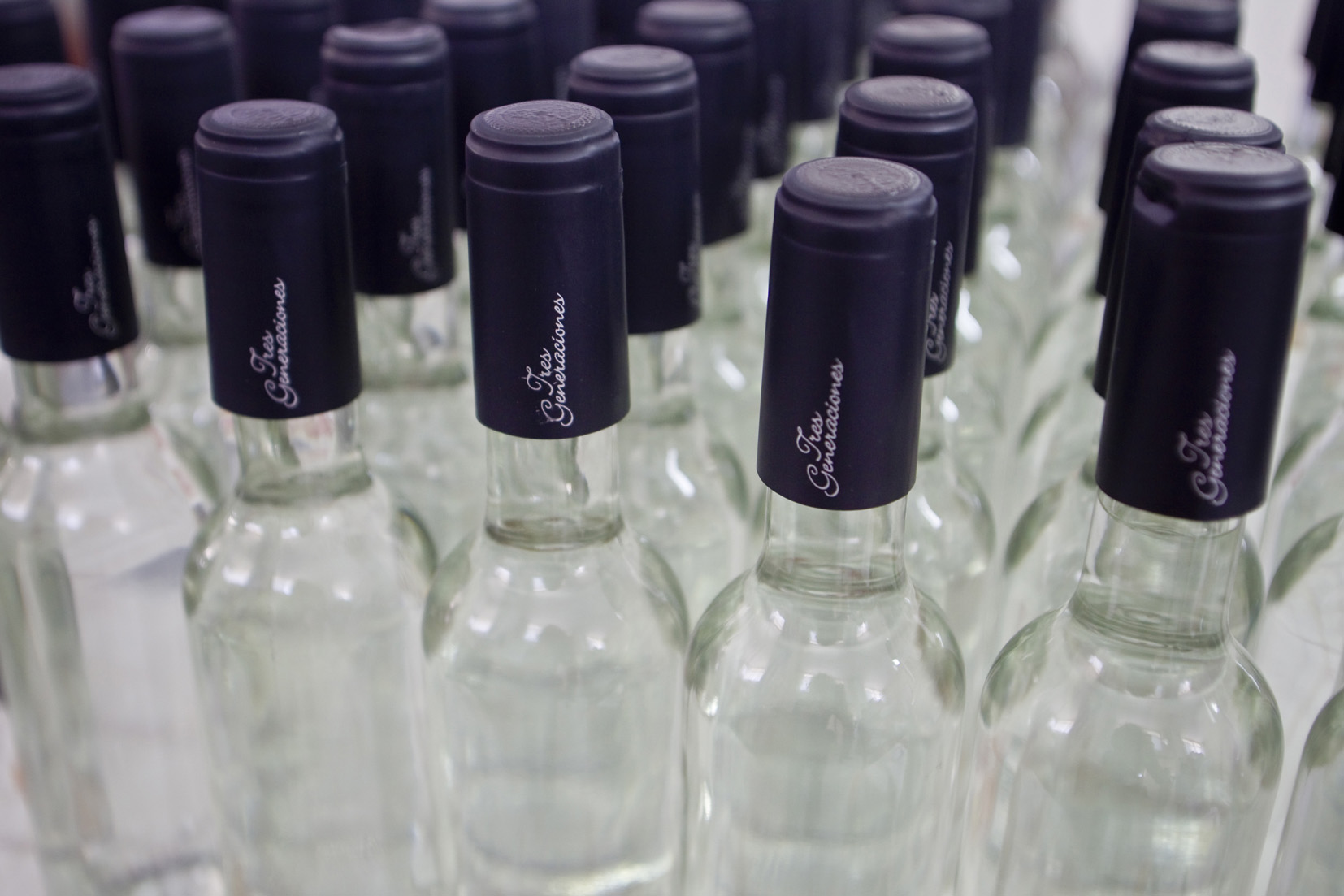 Pisco, el licor del Perú - El mejor lugar para saber de Pisco